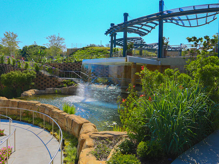 The Rory Meyers Children's Adventure Garden | Dallas Arboretum