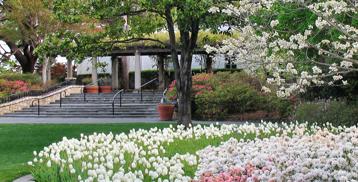 Tips and Itineraries | Dallas Arboretum and Botanical Garden
