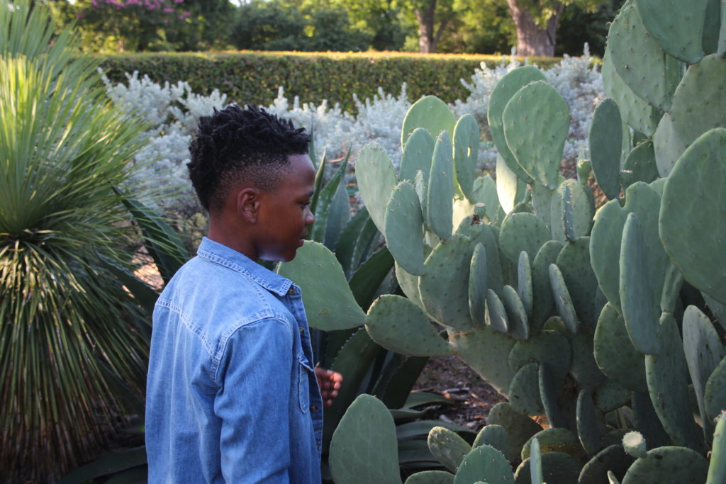 Texas Native Plant Lab | Dallas Arboretum and Botanical Garden