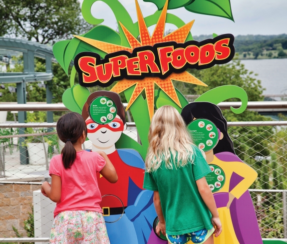 The Rory Meyers Children's Adventure Garden | Dallas Arboretum