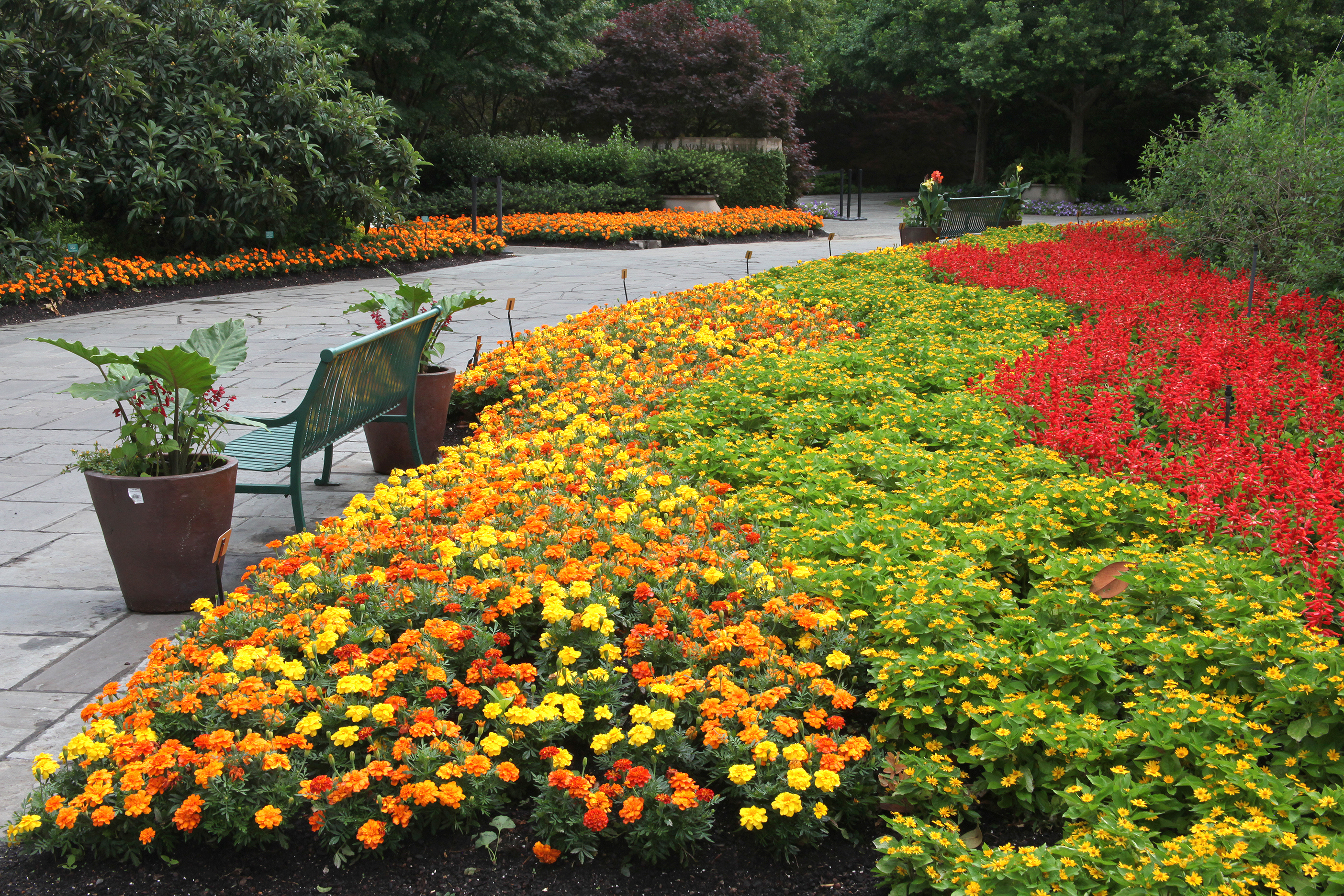 Dallas Arboretum and Botanical Garden