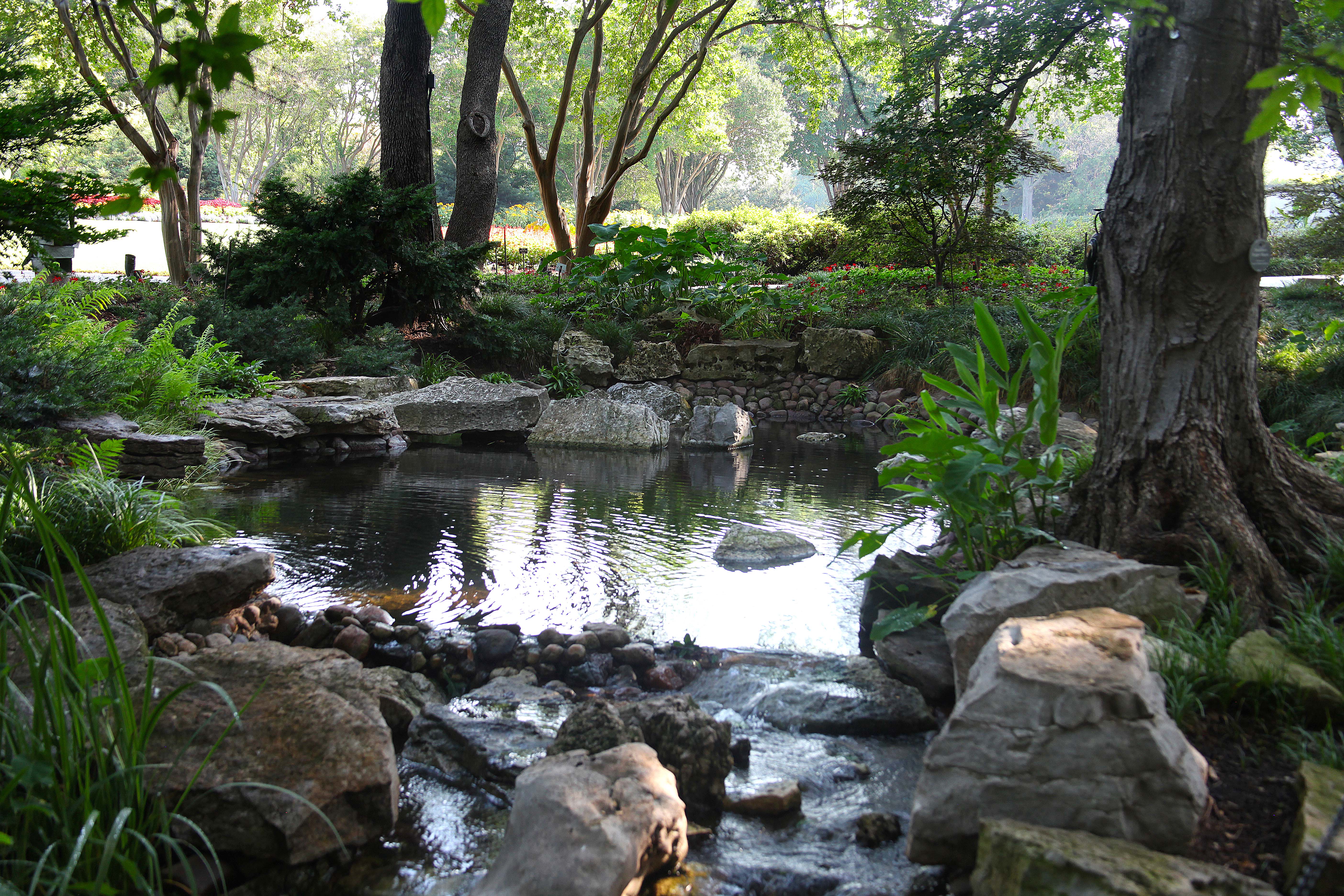 Dallas Arboretum and Botanical Garden