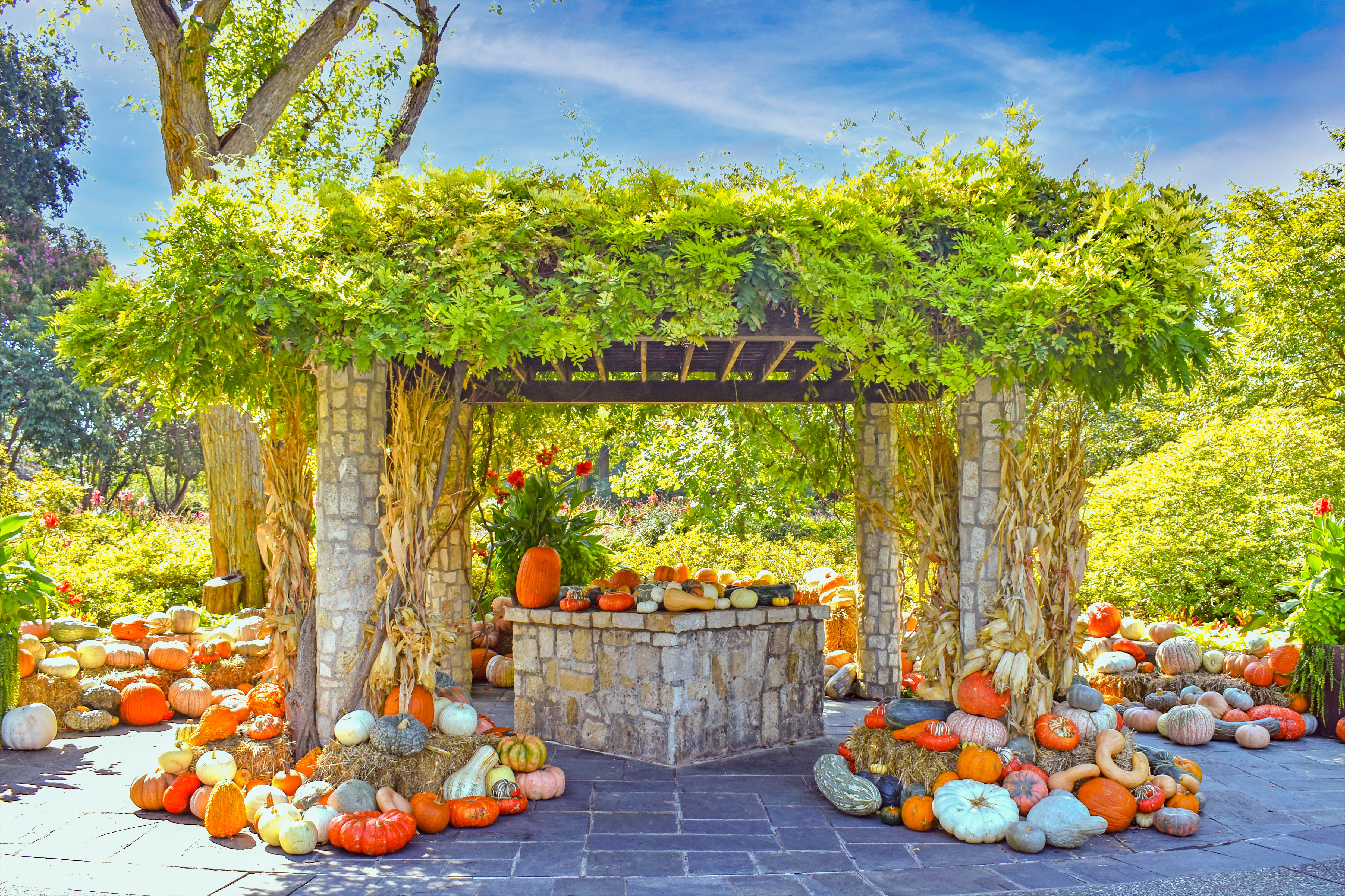 Ivey Photography | Dallas Arboretum and Botanical Garden
