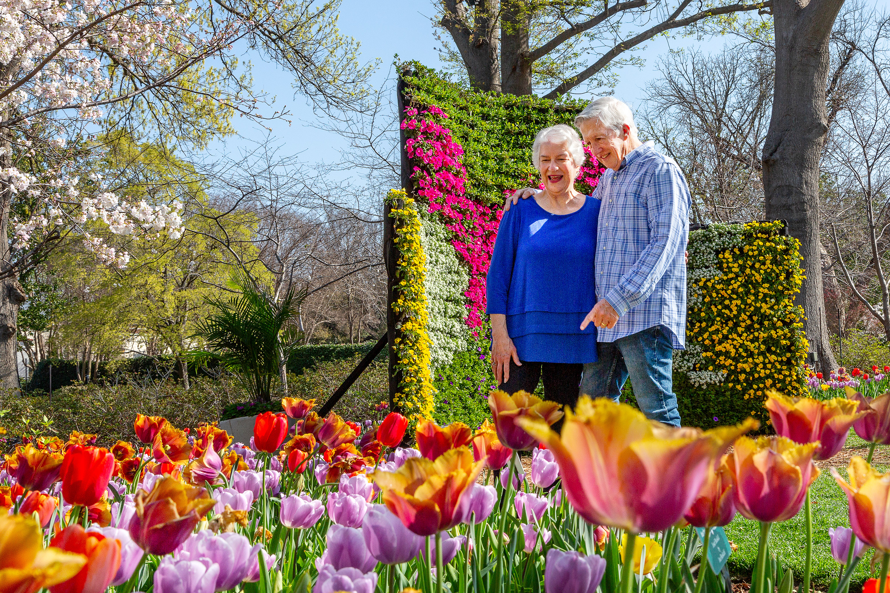 Dallas Blooms | Dallas Arboretum and Botanical Garden